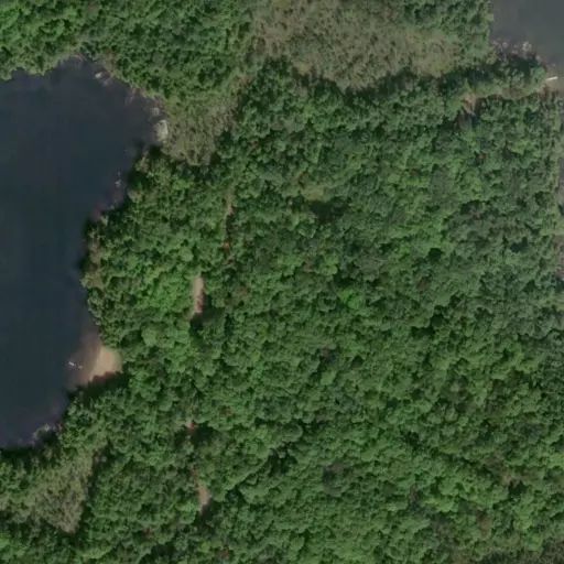 Laura and Gordon Lake Recreation Area | Camp Observer