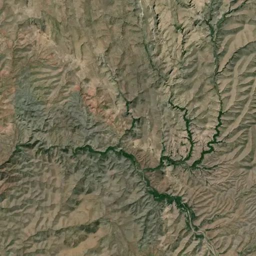 Muleshoe Ranch | Camp Observer